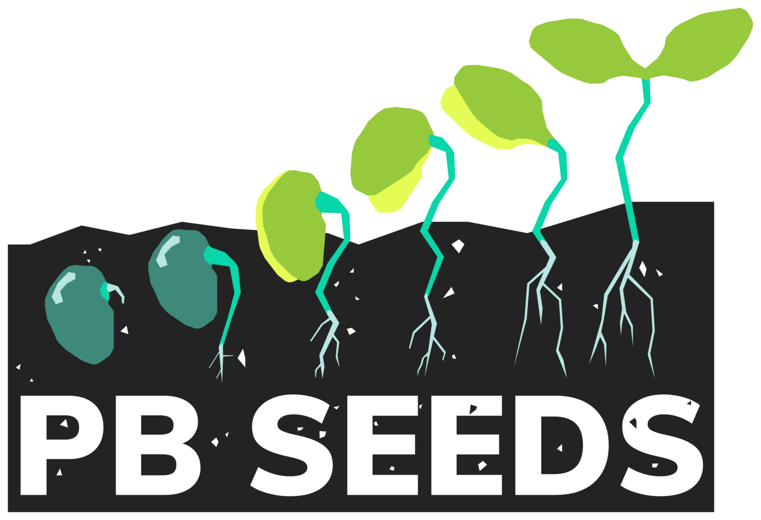 Growing Seeds of PB in New Jersey - Participatory Budgeting Project